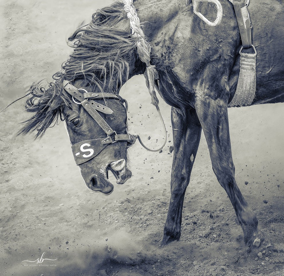 Diamond W Ranch: Artisanal Western Furnishings & Handcrafted Designs